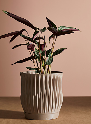 Pli multiple life planter 7.75-in opening | Cyrc. | | Simons